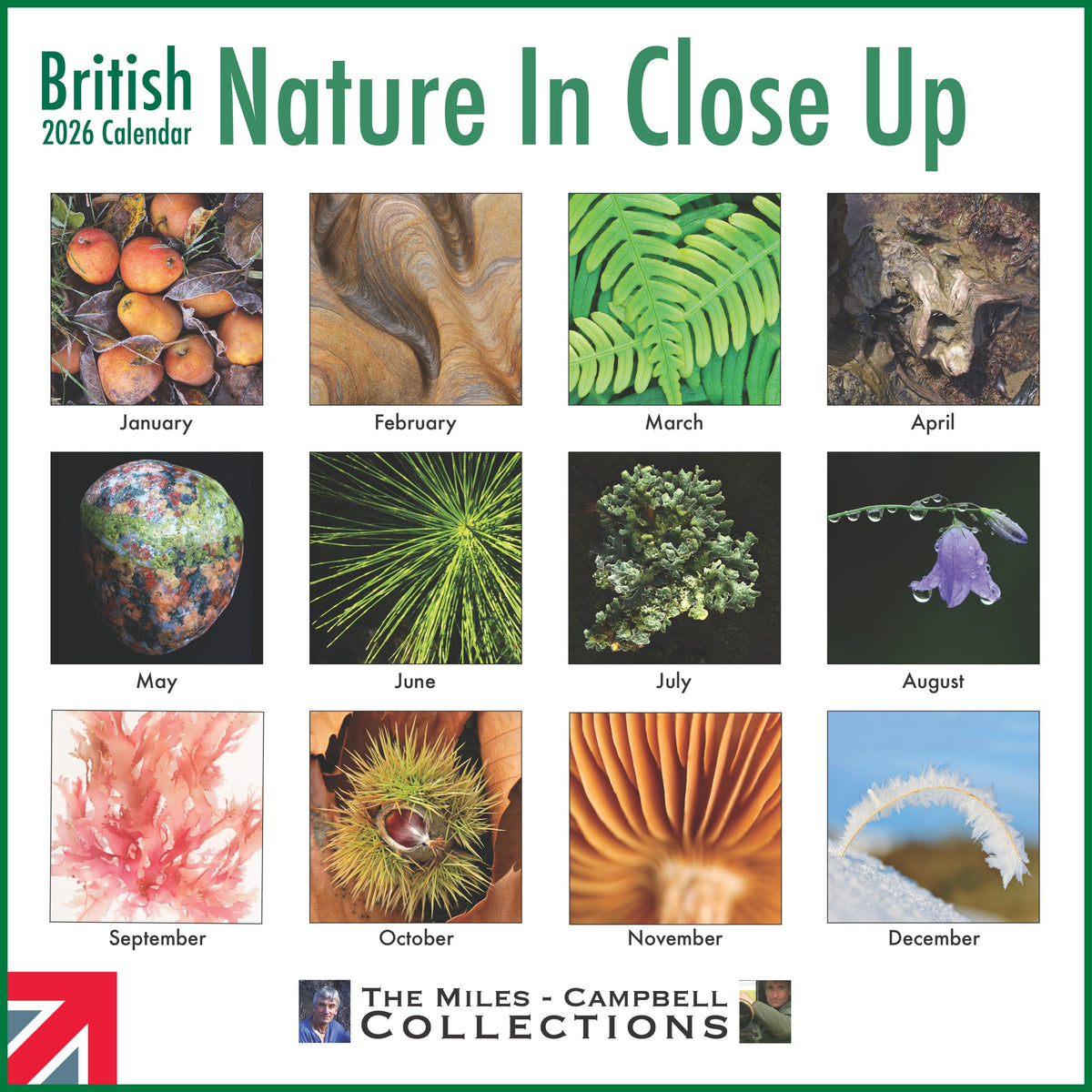 British Nature In Close Up 2026 Calendar – Alltrade - Online